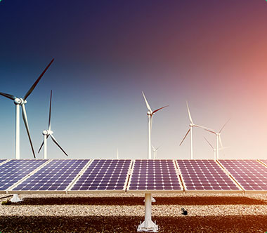 About Us | Green World